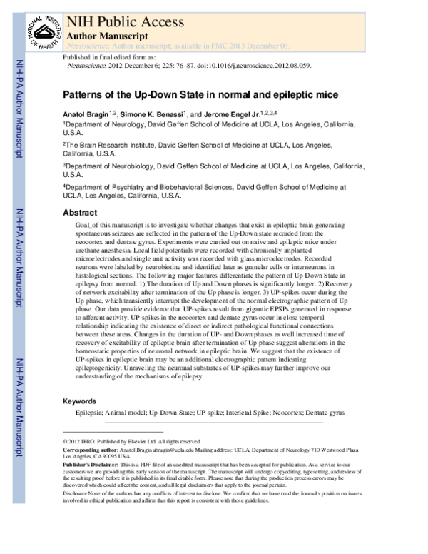 (PDF) Patterns of the UP–Down state in normal and epileptic mice