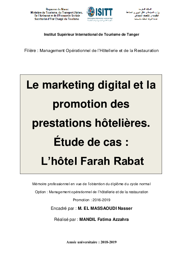 (PDF) Mémoire de recherche sur le Marketing digital