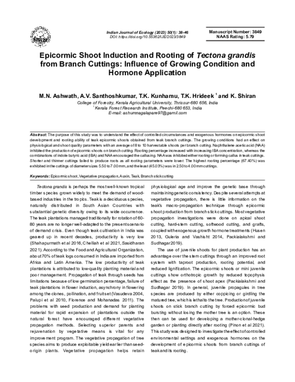 (PDF) Epicormic Shoot Induction and Rooting of Tectona grandis from ...