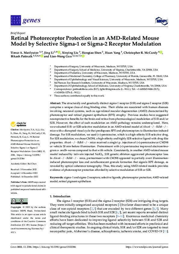 (PDF) Retinal Photoreceptor Protection in an AMD-Related Mouse Model by ...