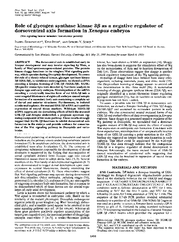 (PDF) Role of glycogen synthase kinase 3 beta as a negative regulator ...