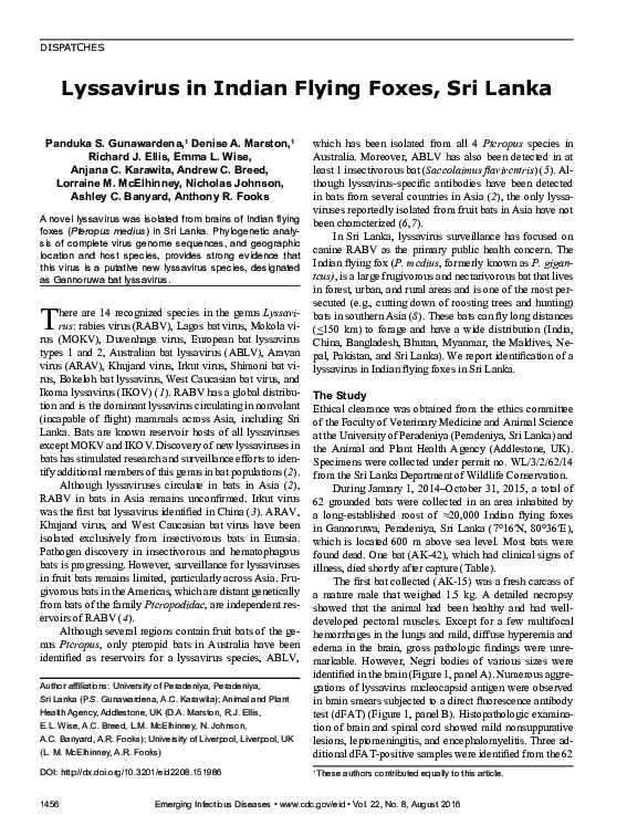 (PDF) Lyssavirus in Indian Flying Foxes, Sri Lanka