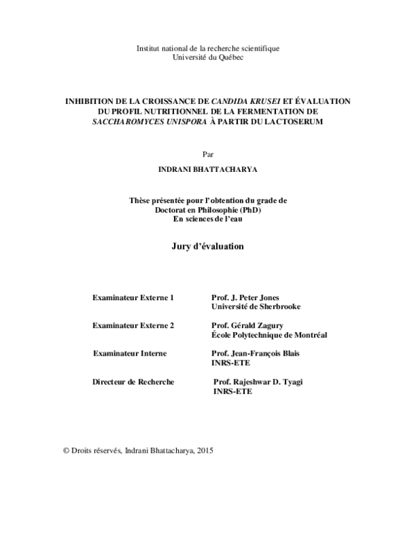 (PDF) Final Thesis