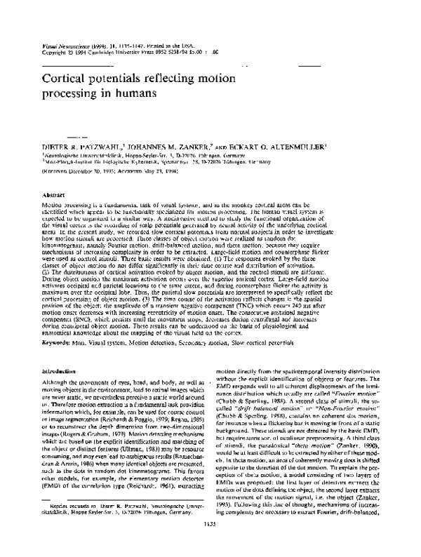 (PDF) Cortical potentials reflecting motion processing in humans