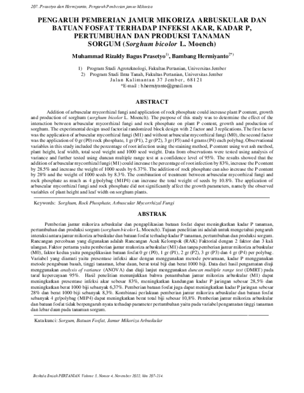 (PDF) Pengaruh Pemberian Jamur Mikoriza Arbuskular dan Batuan Fosfat terhadap Infeksi Akar ...