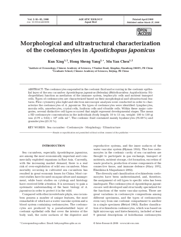 (PDF) Morphological and ultrastructural characterization of the ...