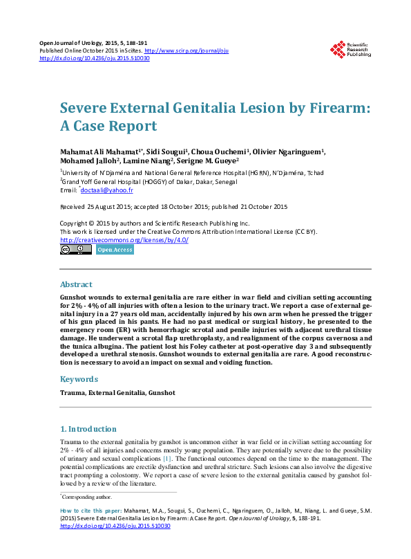 (PDF) Severe External Genitalia Lesion by Firearm: A Case Report