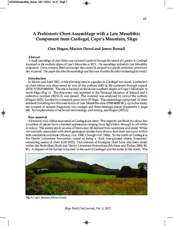 (PDF) A prehistoric chert assemblage with a Late Mesolithic component from Castlegal, Cope’s ...