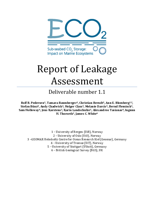 (PDF) Report of Leakage Assessment
