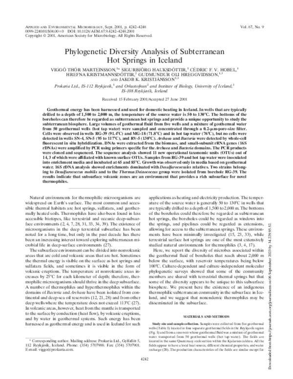 (PDF) Phylogenetic Diversity Analysis of Subterranean Hot Springs in Iceland | Gudmundur ...