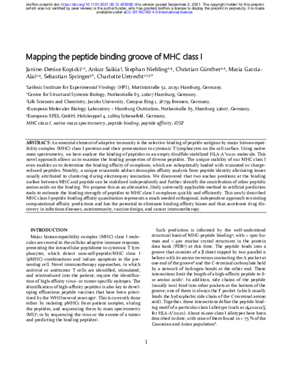 (PDF) Mapping the peptide binding groove of MHC class I