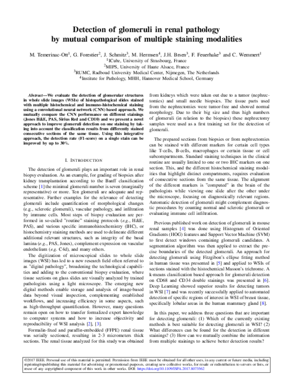 (PDF) Detection of glomeruli in renal pathology by mutual comparison of multiple staining ...