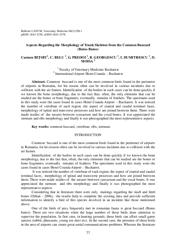 (PDF) Aspects Regarding the Morphology of Trunk Skeleton from the ...