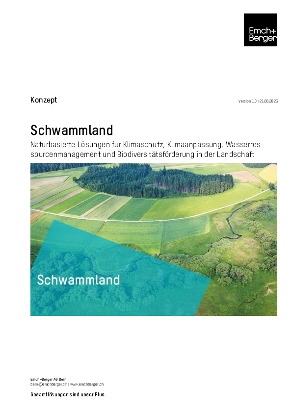 (PDF) Konzept Schwammland - Naturbasierte Lösungen für Klimaschutz, Klimaanpassung ...