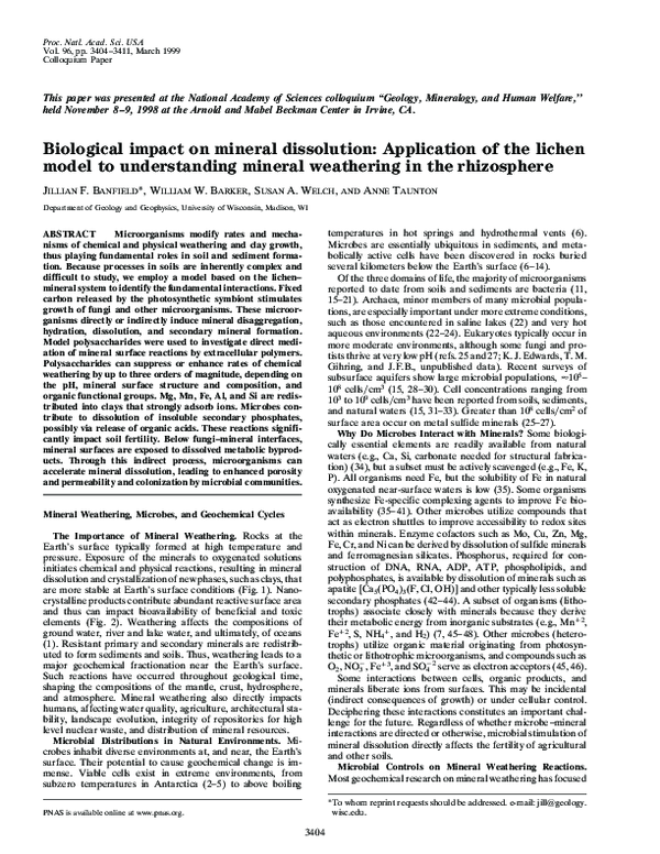 (PDF) Biological impact on mineral dissolution: Application of the ...
