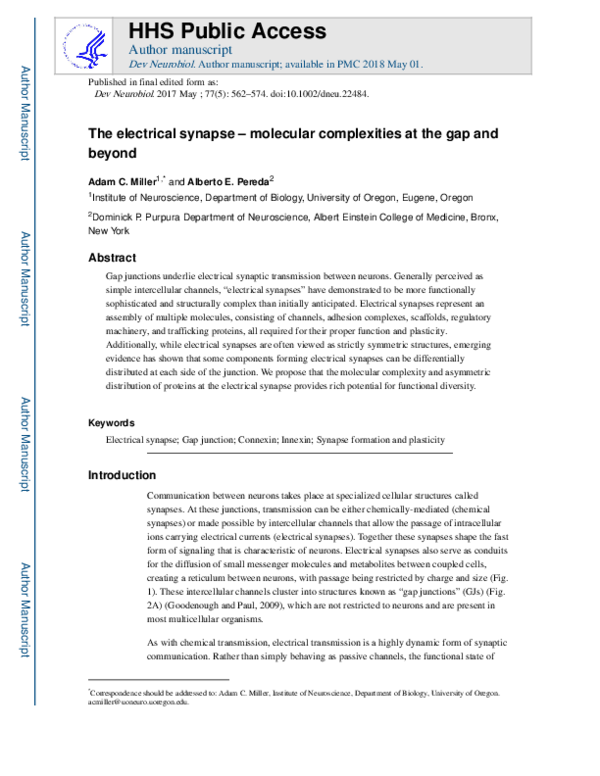 (PDF) The electrical synapse: Molecular complexities at the gap and beyond