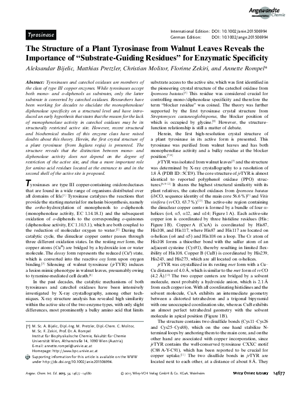 (PDF) The Structure of a Plant Tyrosinase from Walnut Leaves Reveals ...