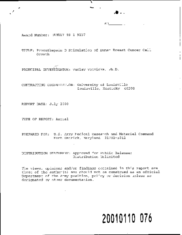 (PDF) What Is Information Warfare?