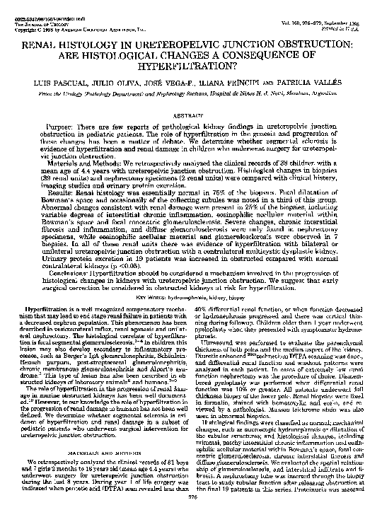 (PDF) Renal Histology in Ureteropelvic Junction Obstruction: Are ...