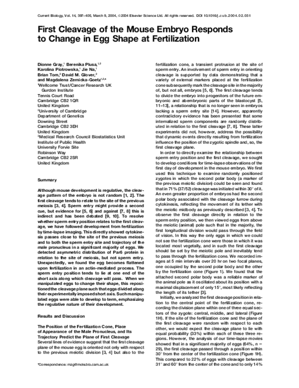 (PDF) First Cleavage of the Mouse Embryo Responds to Change in Egg ...