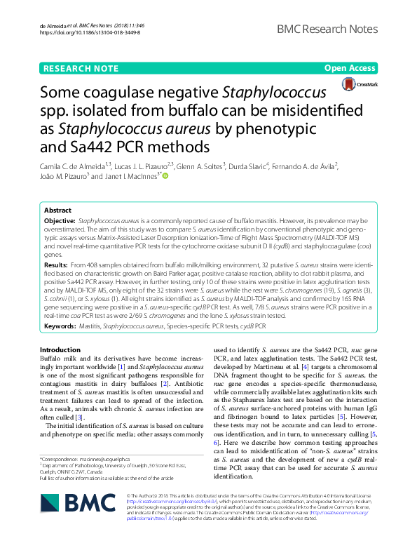 Some coagulase negative Staphylococcus spp. isolated from buffalo can ...