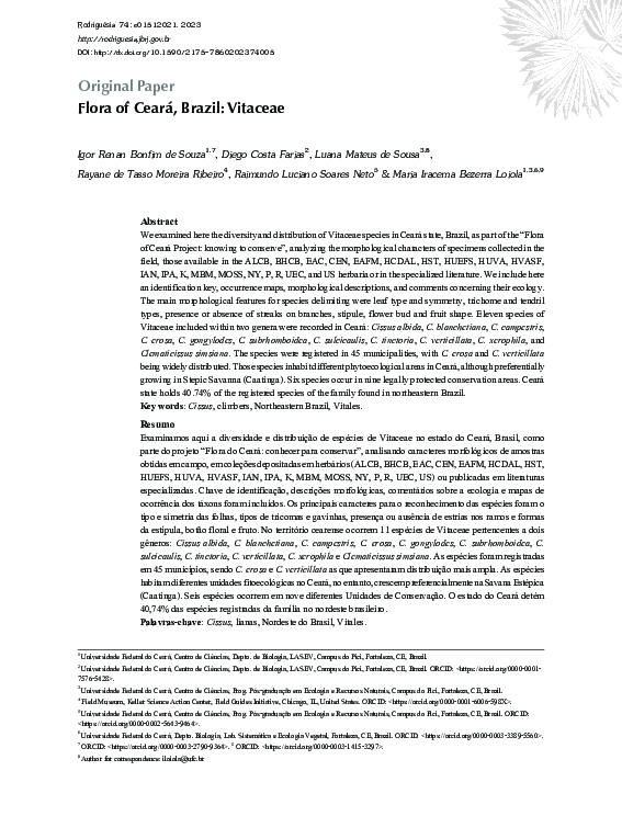 (PDF) Flora of Ceará, Brazil: Vitaceae