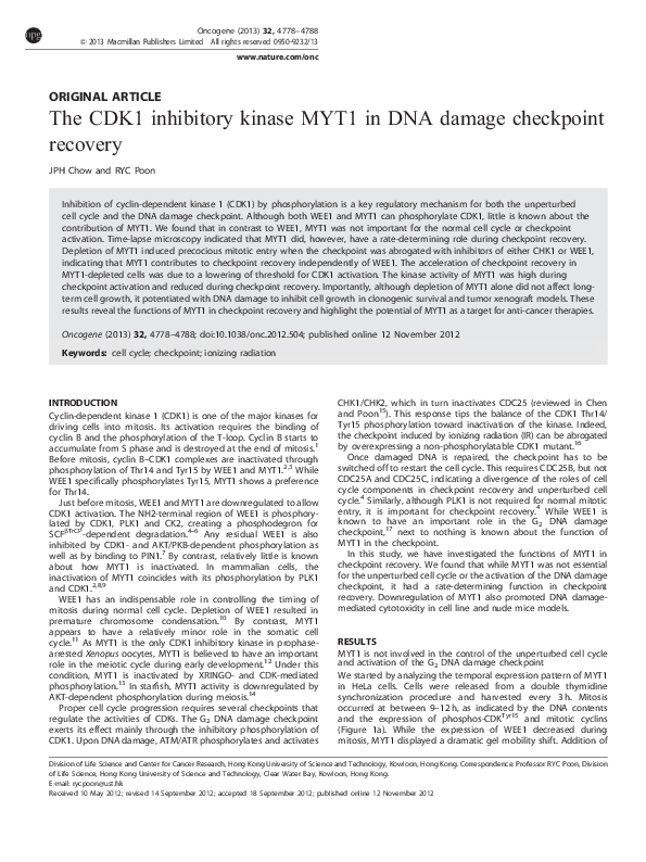 (PDF) The CDK1 inhibitory kinase MYT1 in DNA damage checkpoint recovery
