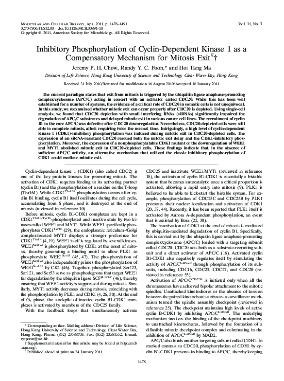 Pdf Inhibitory Phosphorylation Of Cyclin Dependent Kinase 1 As A