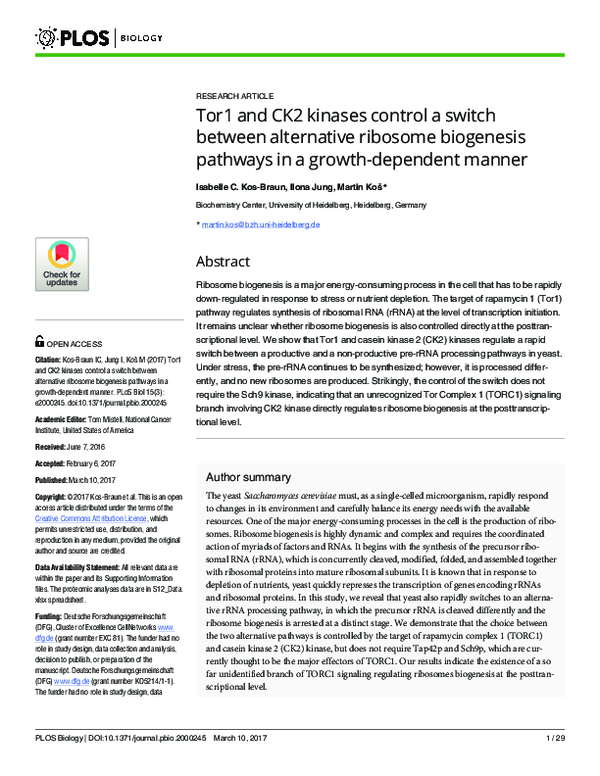 (PDF) Tor1 and CK2 kinases control a switch between alternative ribosome biogenesis pathways in ...