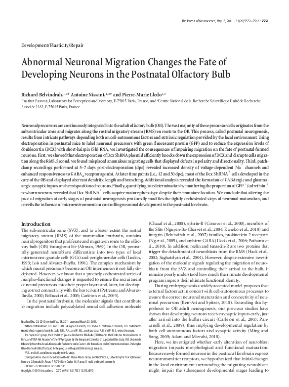 (PDF) Abnormal Neuronal Migration Changes the Fate of Developing ...