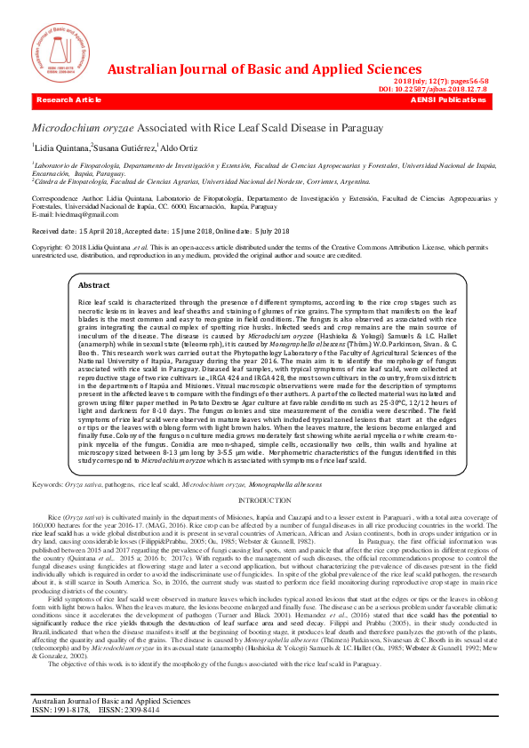 (PDF) Microdochium oryzae Associated with Rice Leaf Scald Disease in ...