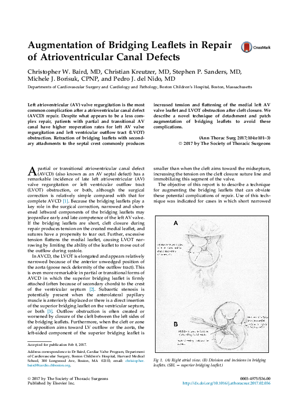 (PDF) Augmentation of Bridging Leaflets in Repair of Atrioventricular ...