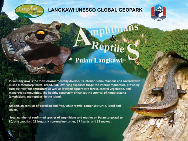 (PPT) Poster Herpetofauna di Langkawi UNESCO Global Geopark