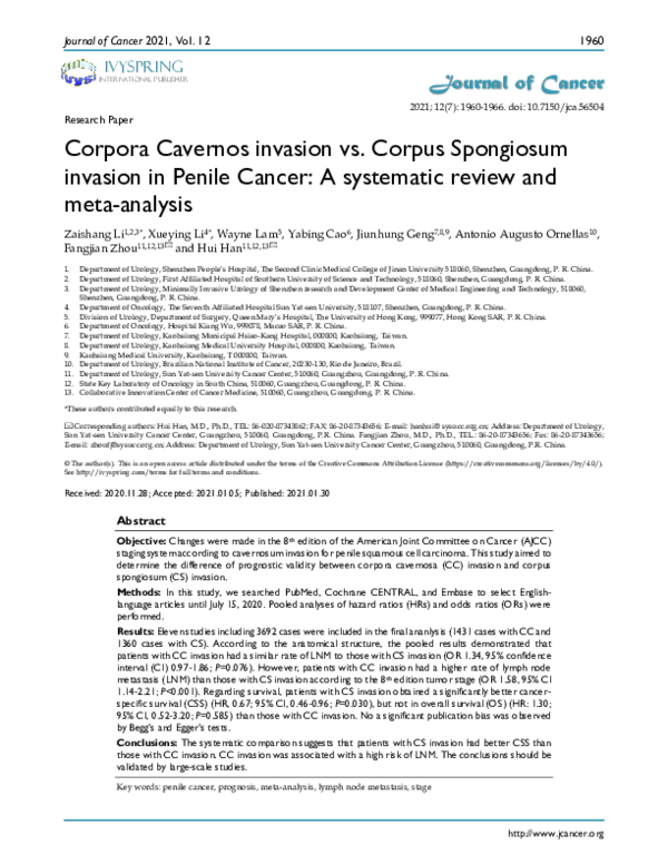 (PDF) Corpora Cavernos invasion vs. Corpus Spongiosum invasion in ...