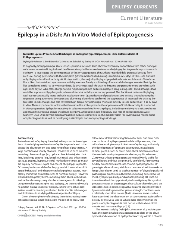 (PDF) Interictal Spikes Precede Ictal Discharges in an Organotypic Hippocampal Slice Culture ...