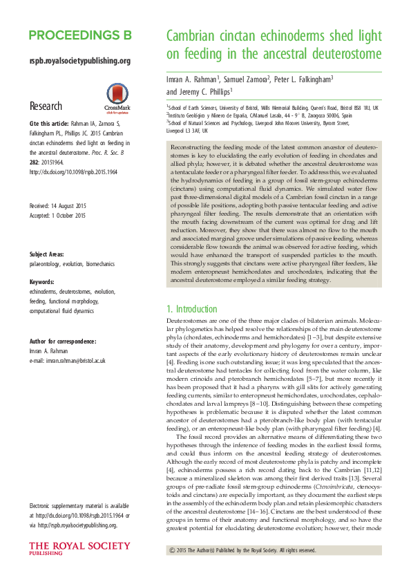 (PDF) Cambrian cinctan echinoderms shed light on feeding in the ...