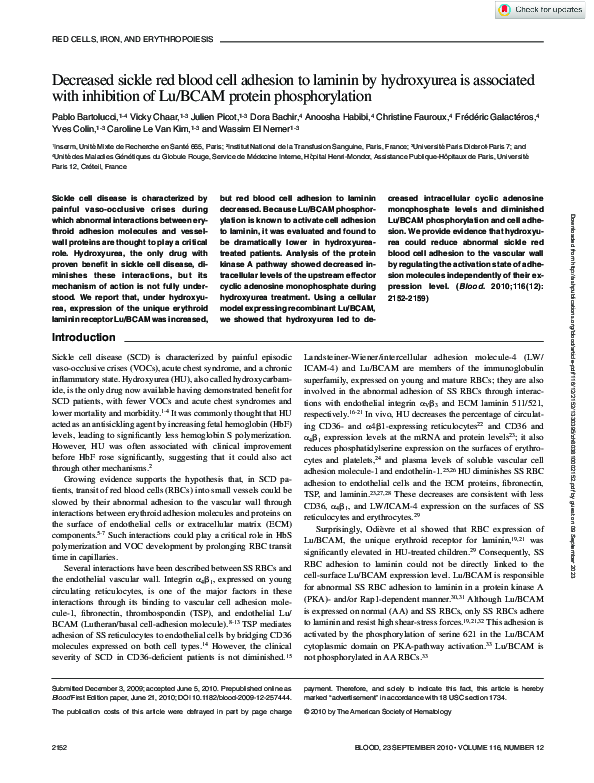 (PDF) Decreased sickle red blood cell adhesion to laminin by ...