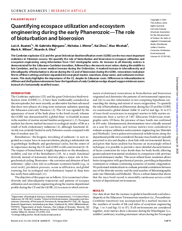 (PDF) Quantifying ecospace utilization and ecosystem engineering during the early Phanerozoic ...