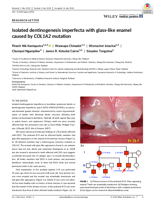(PDF) Isolated dentinogenesis imperfecta with glass-like enamel caused by COL1A2 mutation