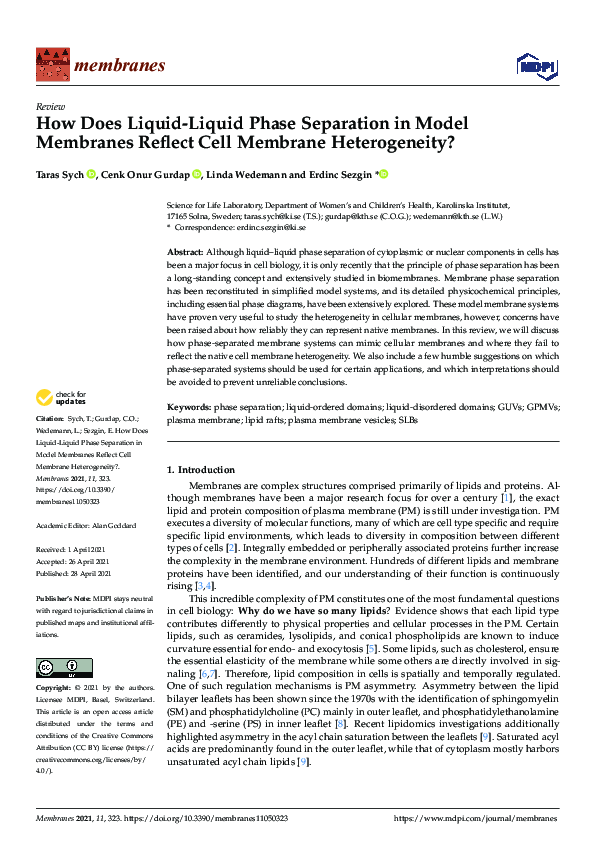 (PDF) How Does Liquid-Liquid Phase Separation in Model Membranes Reflect Cell Membrane ...