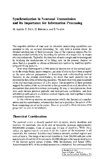(PDF) Synchronization in Neuronal Transmission and Its Importance for Information Processing ...