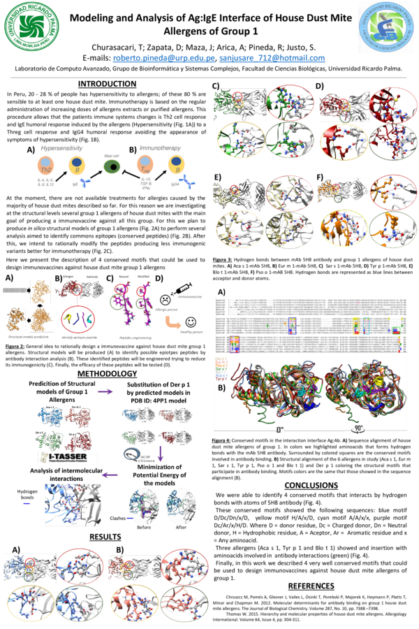 (PDF) Modeling and Analysis of AG:IGE Interface of House Dust Mite Allergens of Group 1