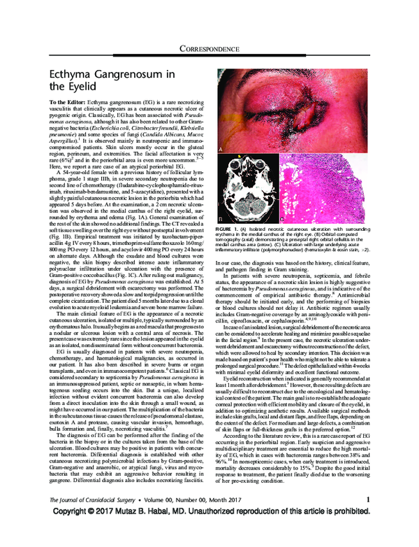 (PDF) Ecthyma Gangrenosum in the Eyelid