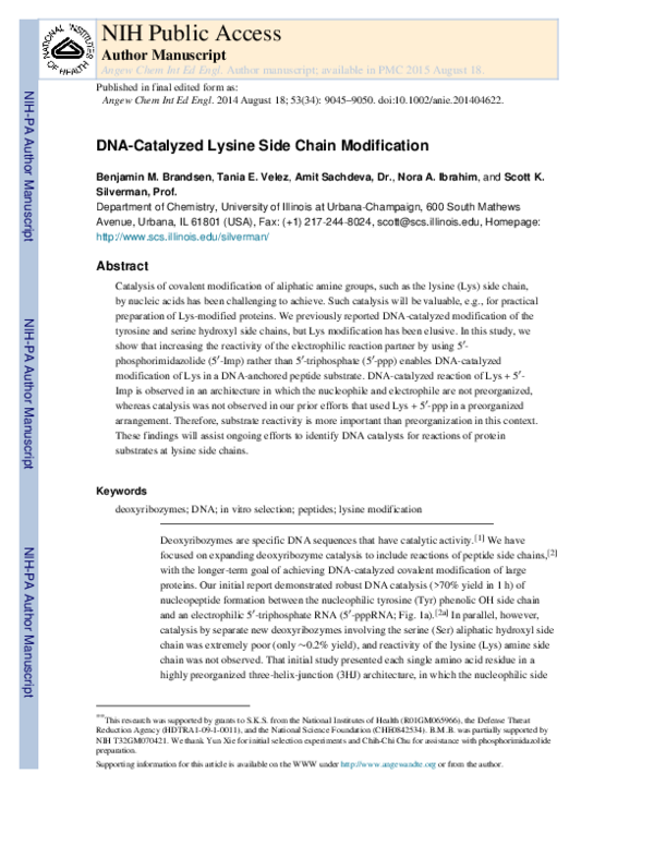 (PDF) DNA-Catalyzed Lysine Side Chain Modification