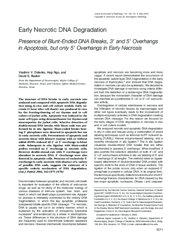 (PDF) Early Necrotic DNA Degradation