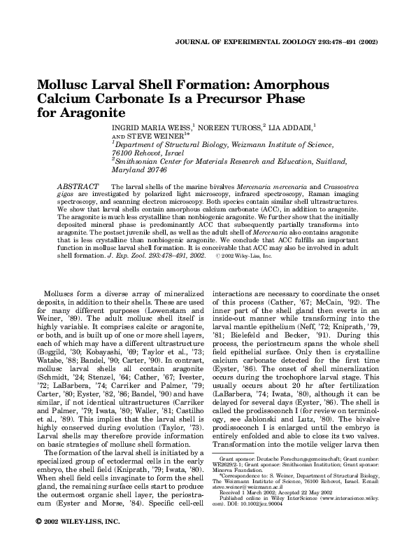 (PDF) Mollusc larval shell formation: amorphous calcium carbonate is a ...