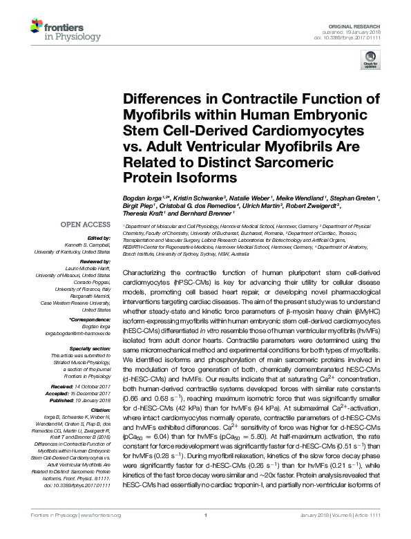 (PDF) Differences in Contractile Function of Myofibrils within Human ...
