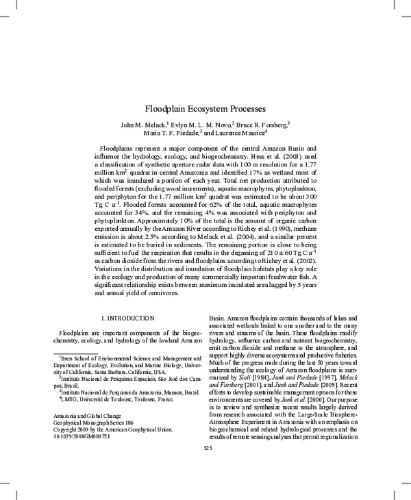 (PDF) Floodplain ecosystem processes