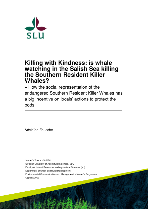 (PDF) Killing with Kindness: is whale watching in the Salish Sea ...
