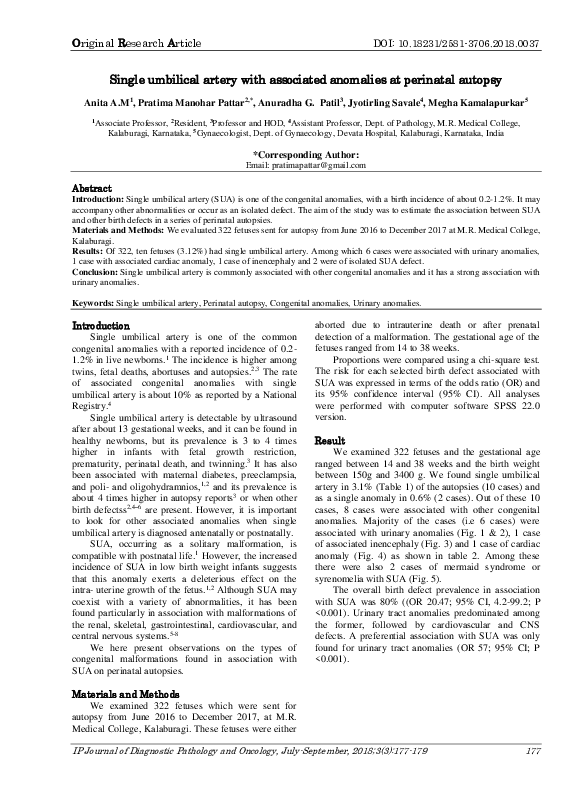 (PDF) Single umbilical artery with associated anomalies at perinatal ...